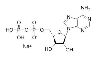 5'-Adenosine diphosphate sodium salt XINXIANG AURORA BIOTECHNOLOGY CO ...