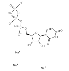 Uridine-5'-triphosphoric acid trisodium salt XINXIANG AURORA ...